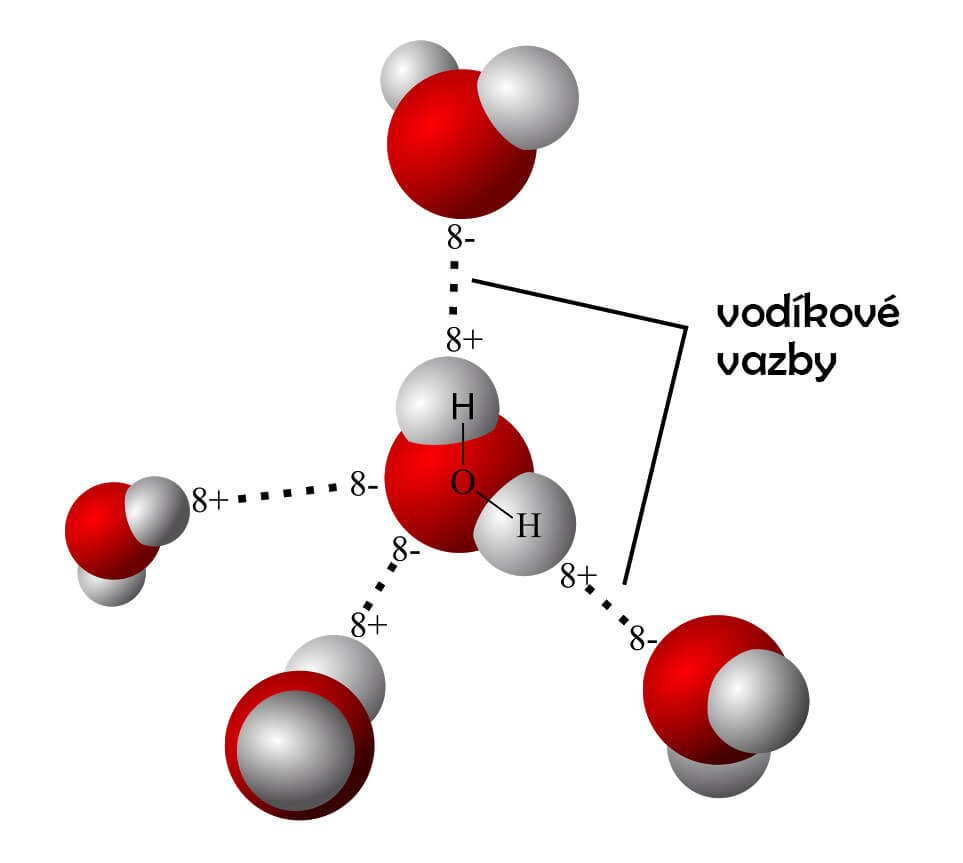 Voda, zázračná kapalina | Časopis ROOTS...
